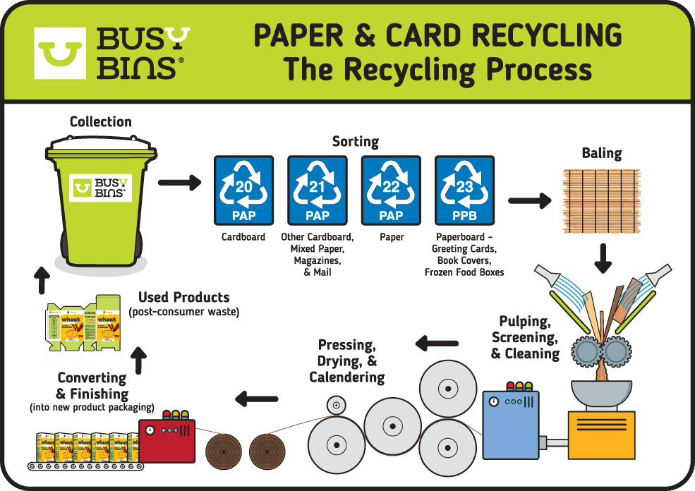 Cardboard Recycling Process How Is Cardboard Recycled? A Step By Step